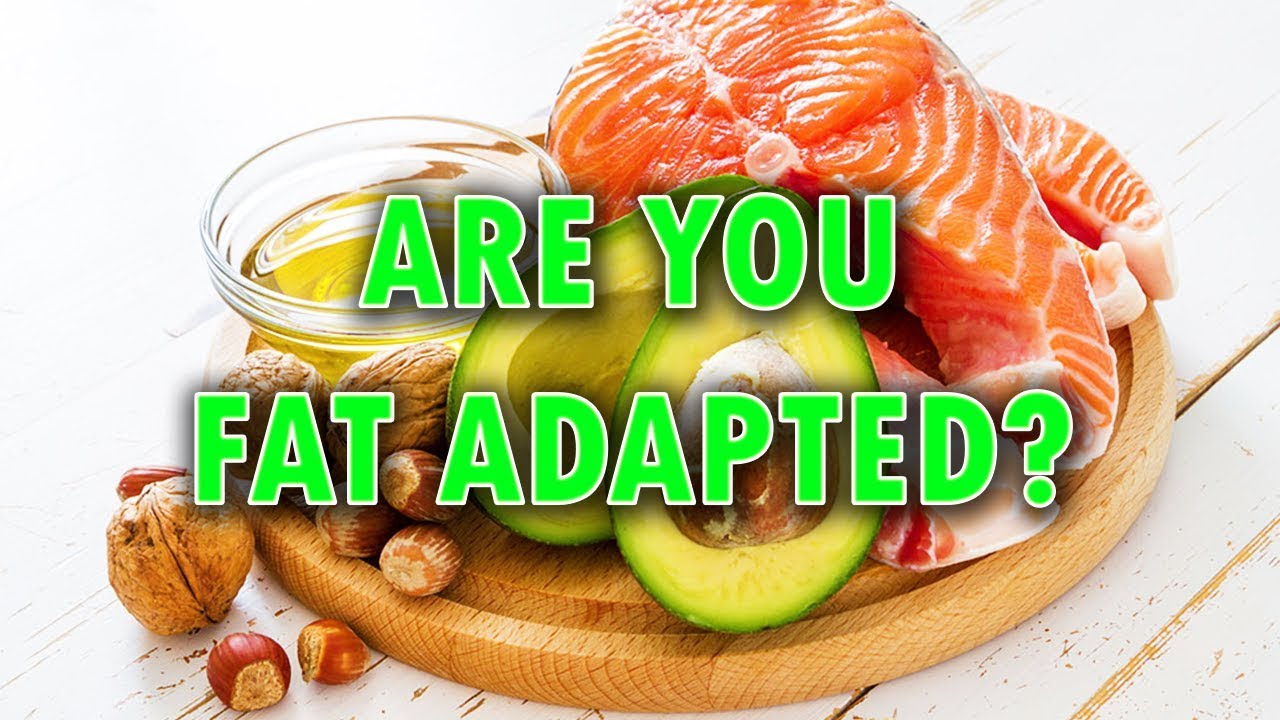 How to know when you're Fat Adapted! | Ketosis and Fat Adaptation - YouTube