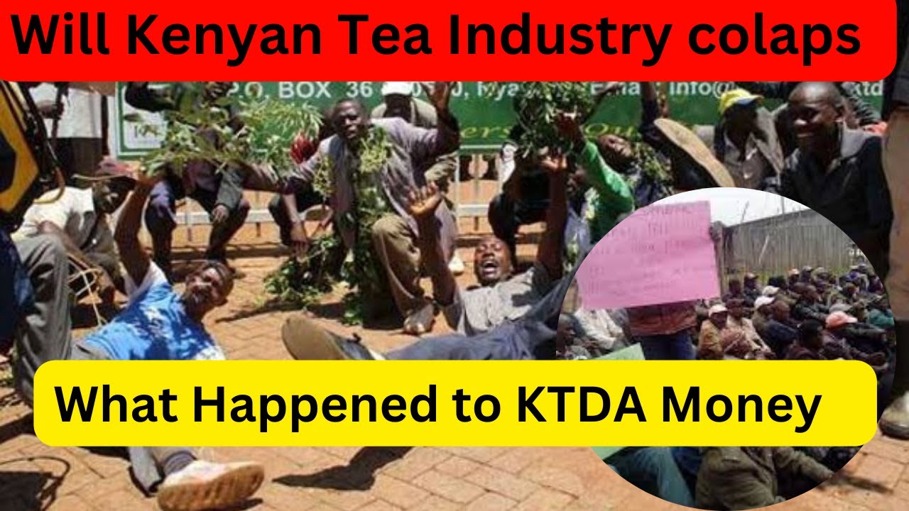 Why Kenya is going Financial Crisis | Kenya Tea Crisis | KTDA Bonus ...