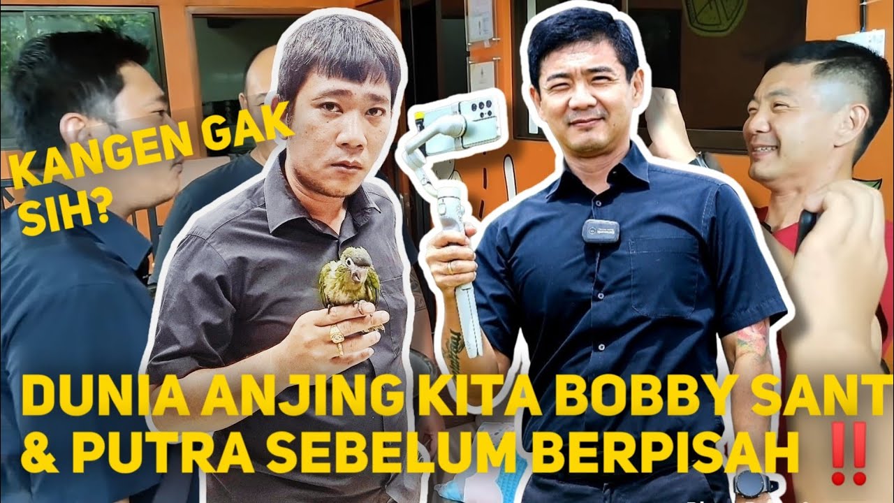 DUNIA ANJING KITA DIBALIK LAYAR ‼️ BOBBY SANT & PUTRA FAJAR | GREAT ...