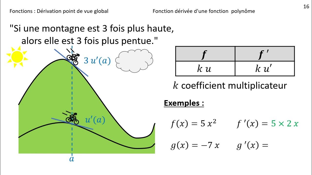 Fonction dérivée d'un polynôme - YouTube