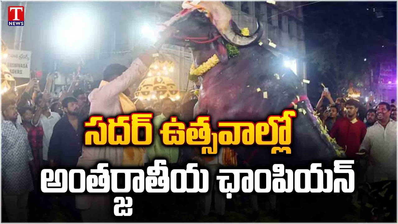 Sadar Celebrations at Hyderabad | Sadar Bull Lifting Video | T News ...