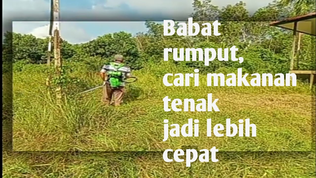 MESIN RUMPUT, LAWN MOWER, GRASS CUTTING, KERJA LEBIH PRAKTIS - YouTube