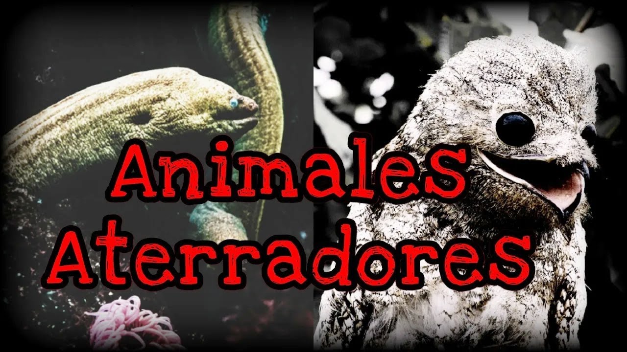 LOS 10 ANIMALES MAS ATERRADORES DE TODO EL PLANETA! - YouTube