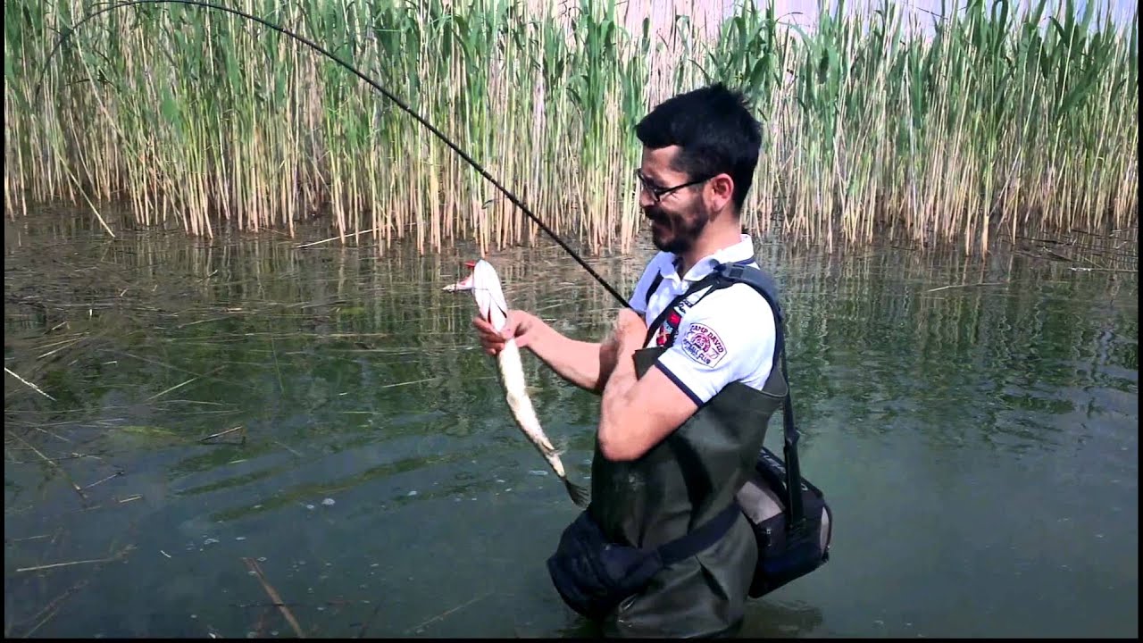 PIKE FISHING TURKEY TK-1 - YouTube