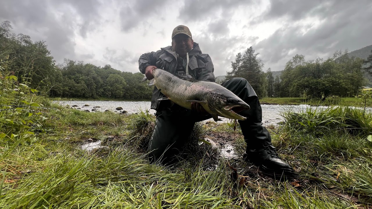 How to make wobblers and catch monster salmon. Как сделать воблер и ...