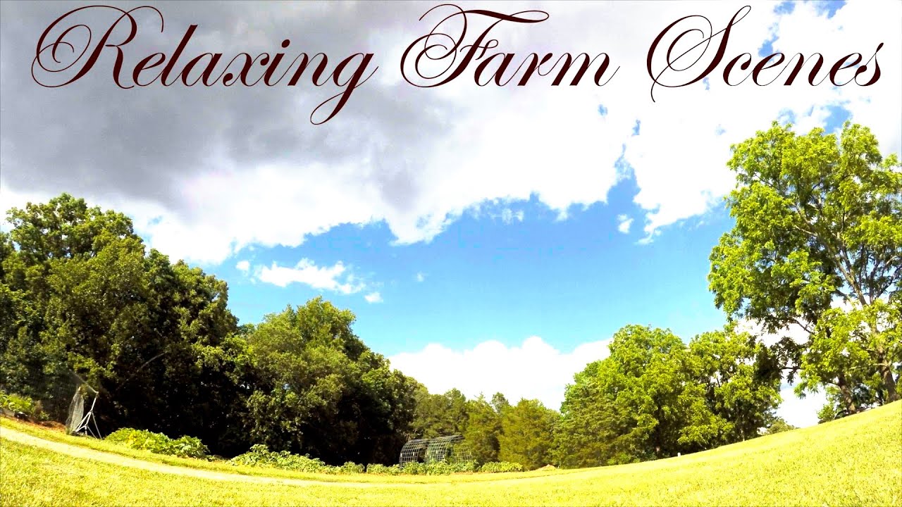 Relaxing Farm Scenes set to Classical music (time lapse and drone ...