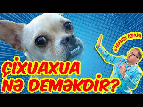 Qırmızı Adam - Çixuaxua nə deməkdir?