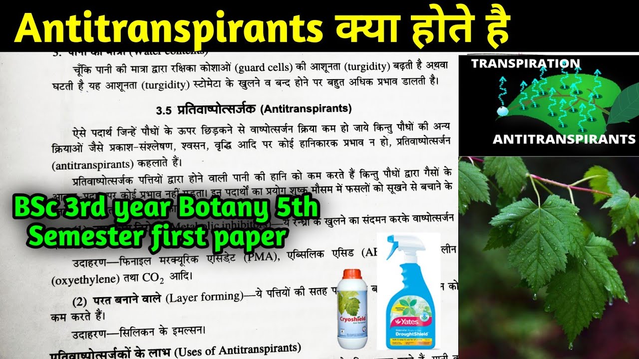 What is Antitranspirants || Plant Physiology || BSc 3rd year Botany 5th ...