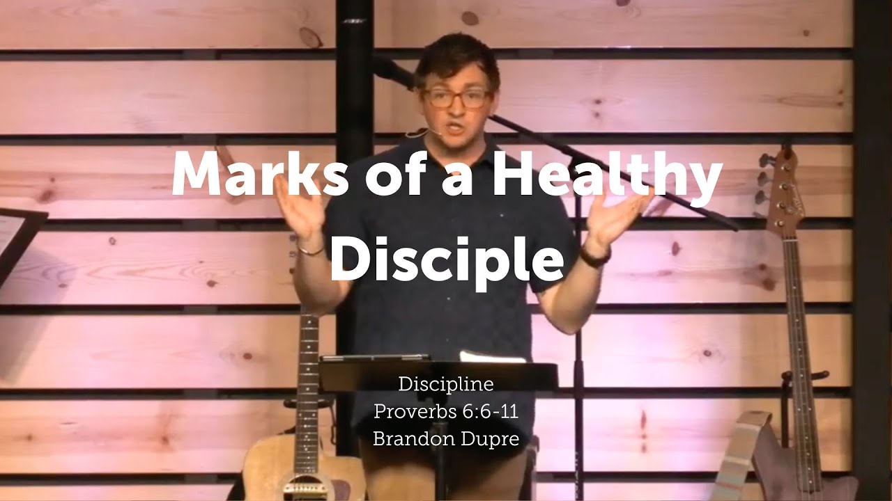 Marks of a Healthy Disciple (Discipline): Proverbs 6:6-11 | Week 3 ...
