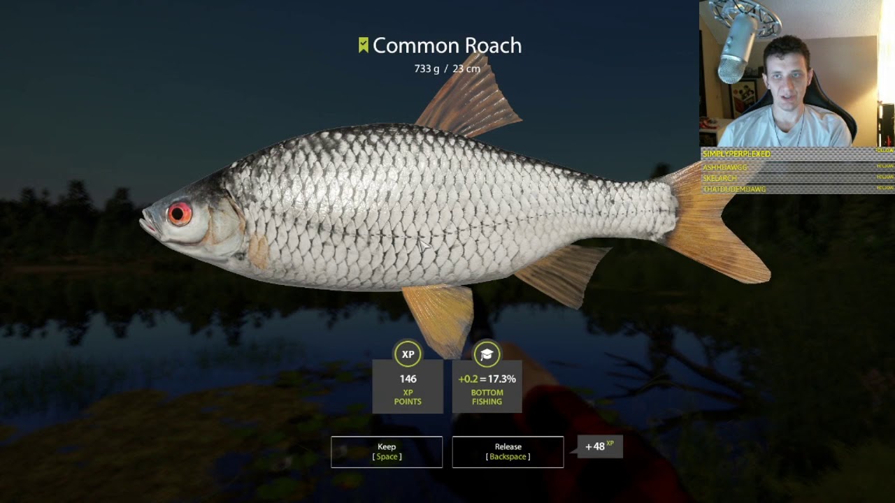 Russian Fishing 4 New Player Tips episode 4: Experimenting with Hook ...