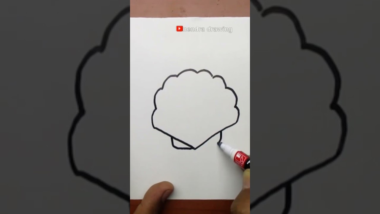 How To Draw A Clam Shell Easy