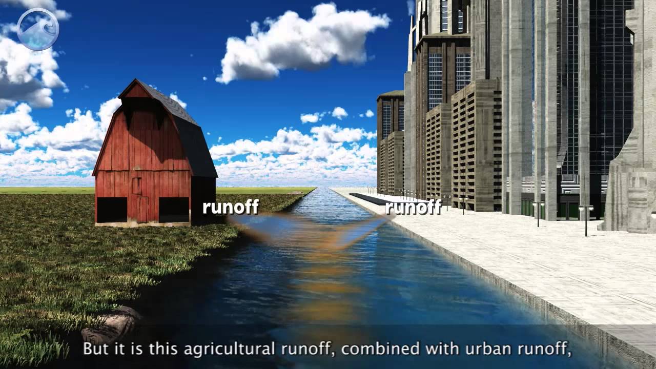 Happening Now! "The Dead Zone": The 2014 Gulf of Mexico Hypoxic Zone ...