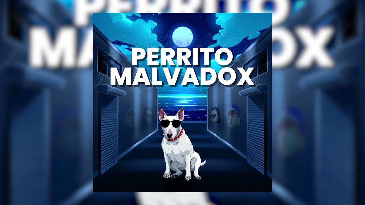 Perrito Malvado Rmx Dj Black 23 Damas Gratis Ft L Gante Youtube