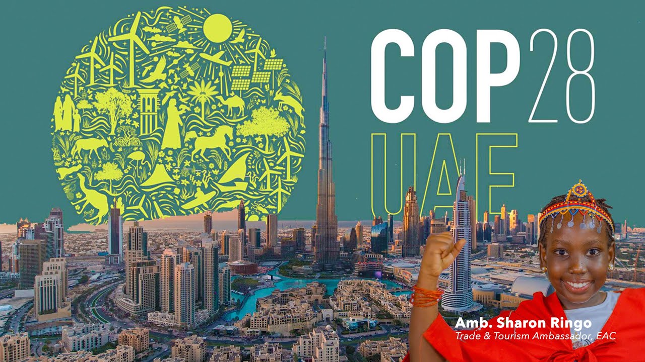 AMB. SHARON RINGO: COP28, THINK DIFFERENT, APPLE SLOGAN - YouTube