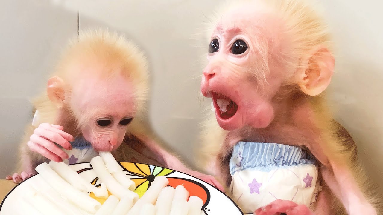 Baby Bibi tries special food from Dad - YouTube