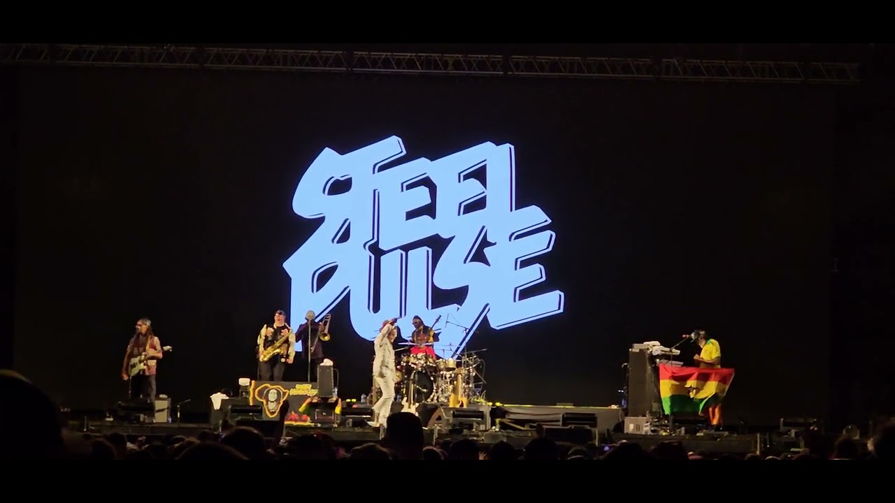 Don't shoot Live - Steel Pulse - PicNic 2024 - Costa Rica 10Feb2024 ...