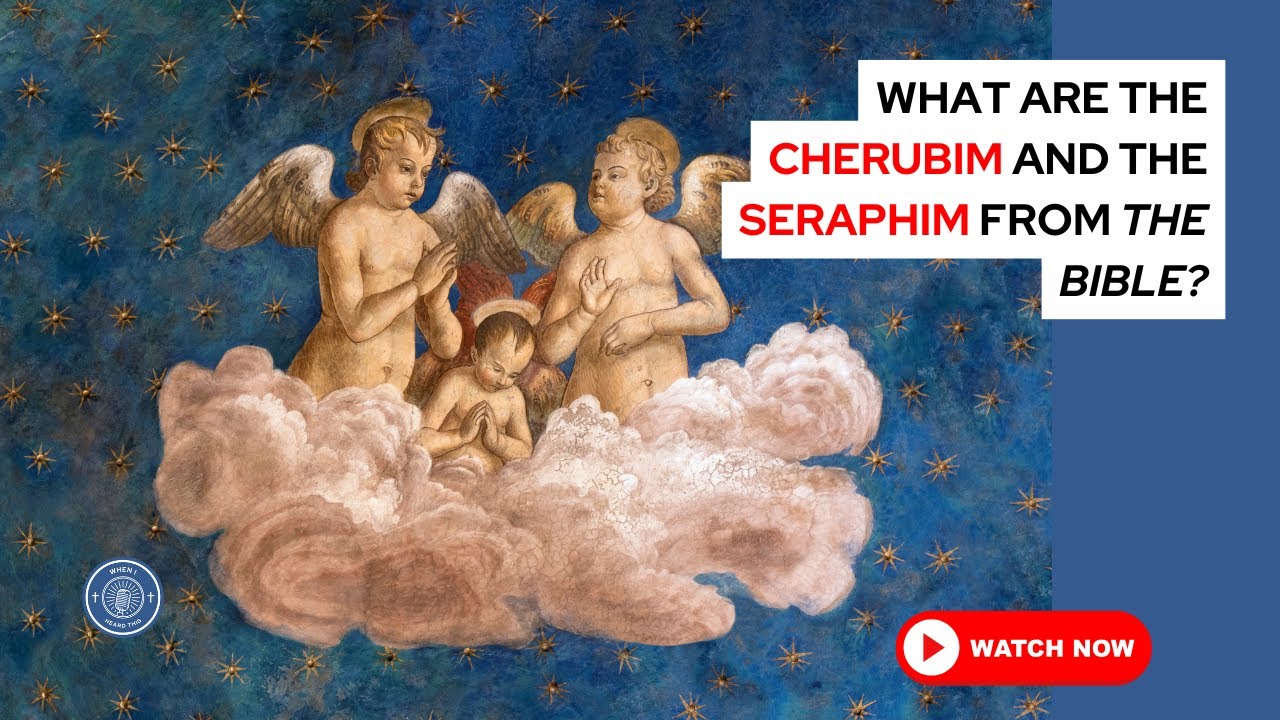 What are the cherubim and the seraphim from the Bible? - YouTube
