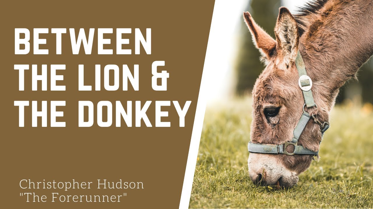 BETWEEN THE LION & THE DONKEY | PART 2 | CHRISTOPHER HUDSON 'THE ...
