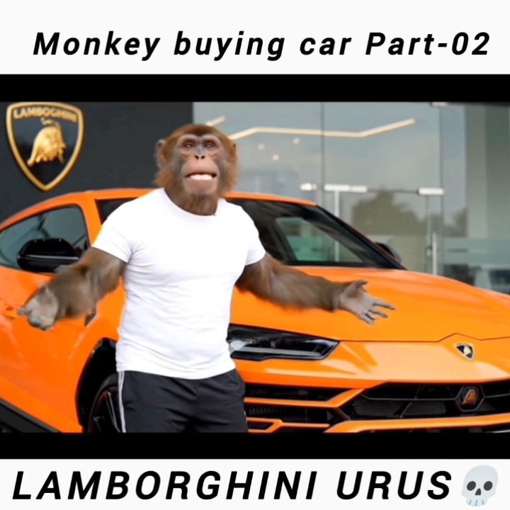 Monkey car vlog|PART-02|. #lamborghini #car #lamborghiniurus - YouTube
