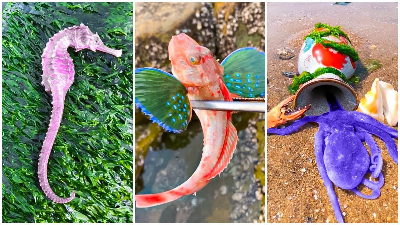 Catching Seafood 🦑🦀 Deep Sea Octopus Catch Fish,Catch Shark Tik Tok #24 ...