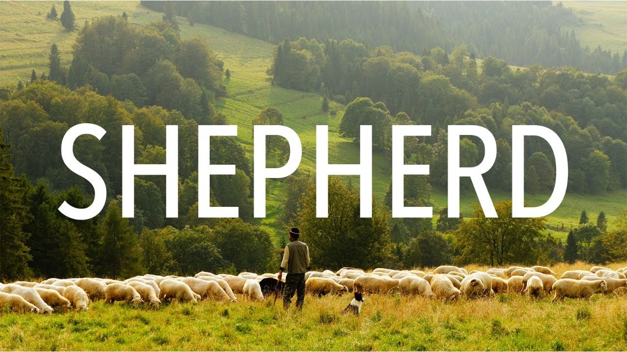 Leading Like a Shepherd - YouTube