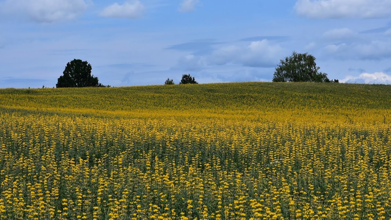 Nikon D3400 Sample Images | Nikon D3400 pictures - YouTube