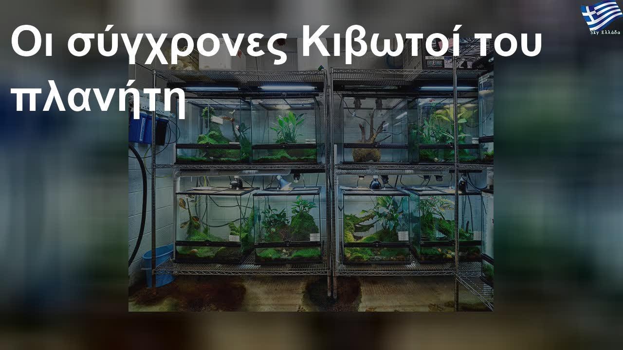 Οι σύγχρονες Κιβωτοί του πλανήτη - YouTube