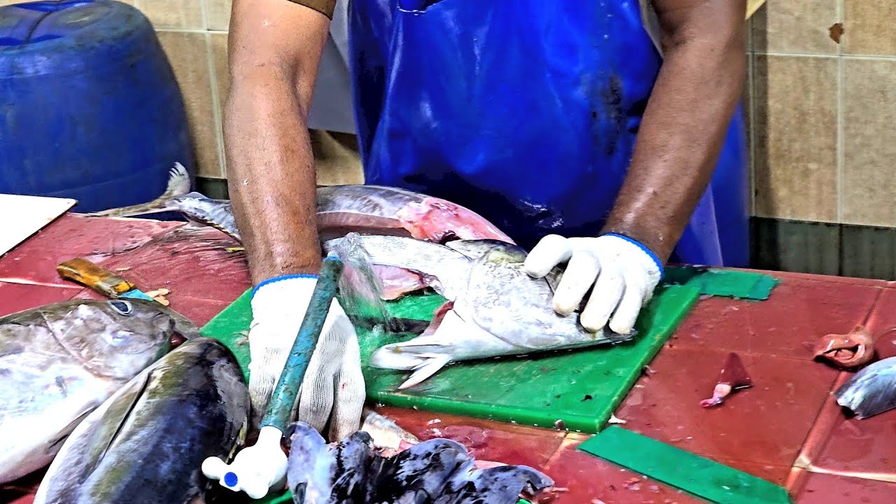 [4k] Masterful Tuna Cutting in Male, Maldives: A Skillful Display - YouTube
