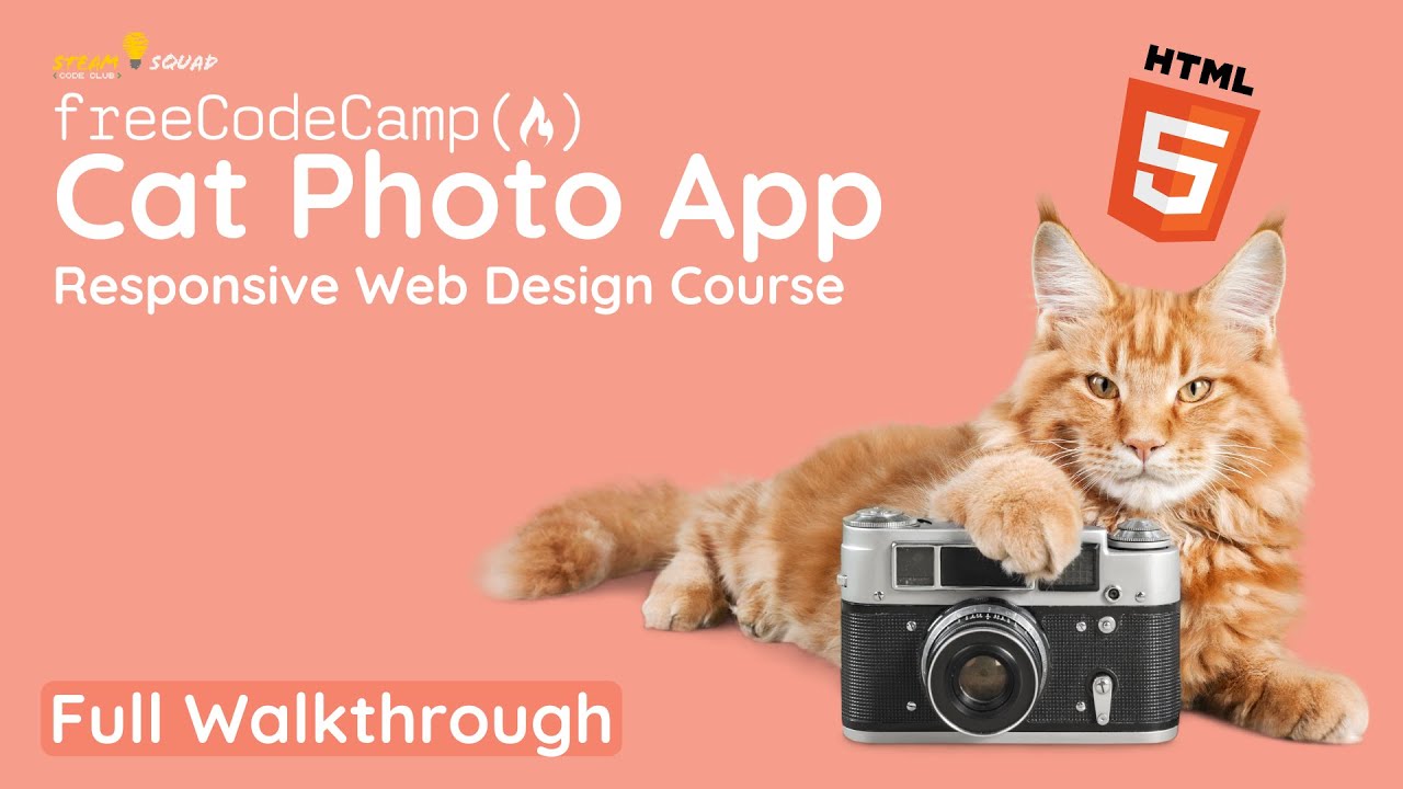 Learn How to Create A Cat Photo App in Minutes - FreeCodeCamp Guide ...