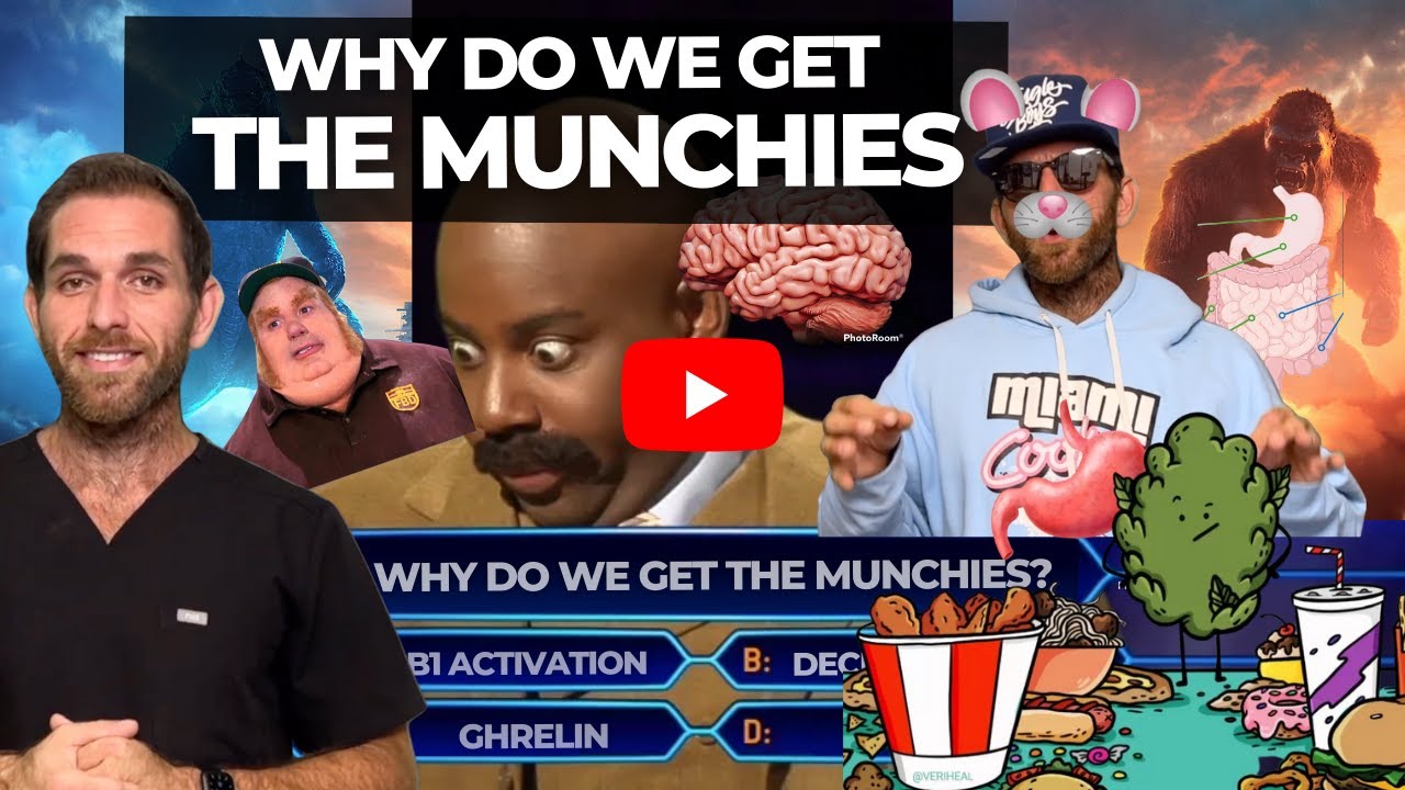 Why Do We Get The Munchies?! - YouTube