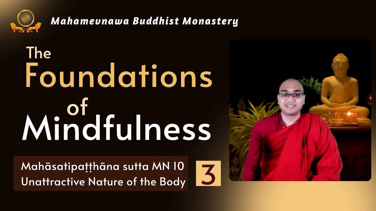 Mahāsatipaṭṭhāna sutta MN 10 Unattractive Nature of the Body Part 3 ...