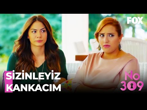 Filiz ve Erol, Lale ve Onur'un Evine Taşındı - No: 309 62. Bölüm