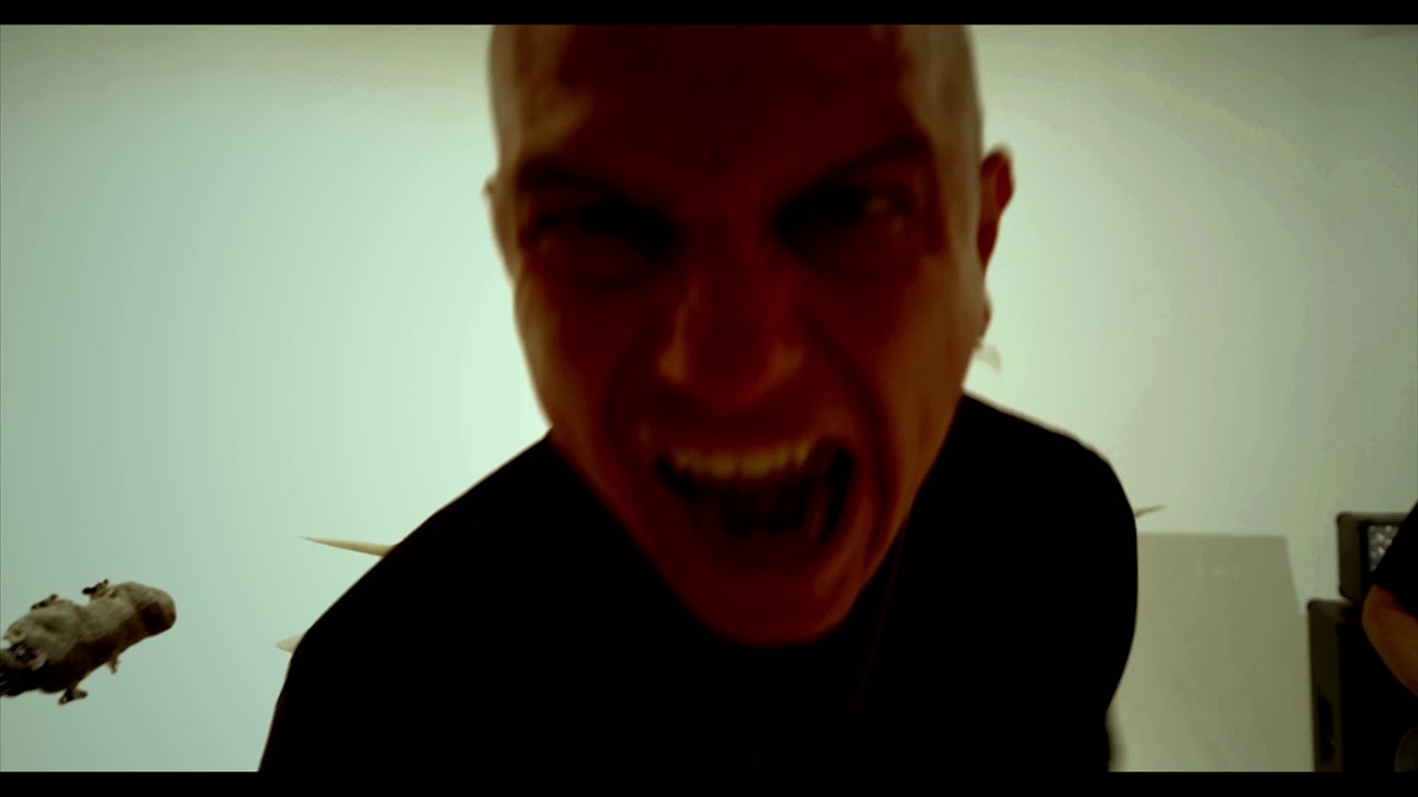 Fear Is Dead - Assimilation [Official Video] - YouTube Music
