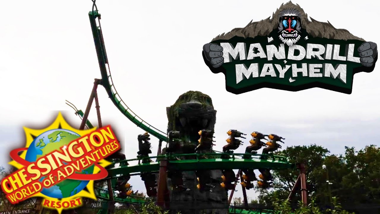 Mandrill Mayhem - Chessington World Of Adventures | 4K Off-Ride - YouTube