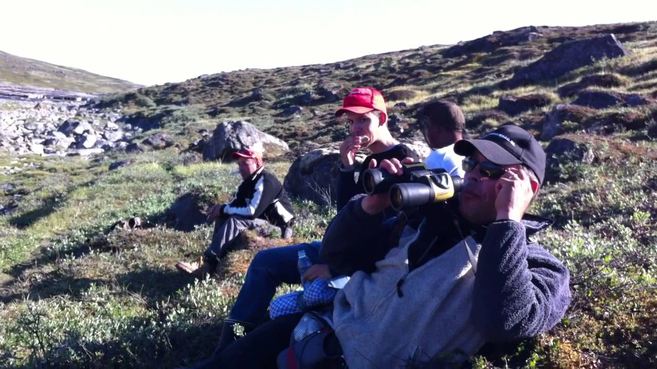 Reindeer hunting in Greenland 2013 - YouTube