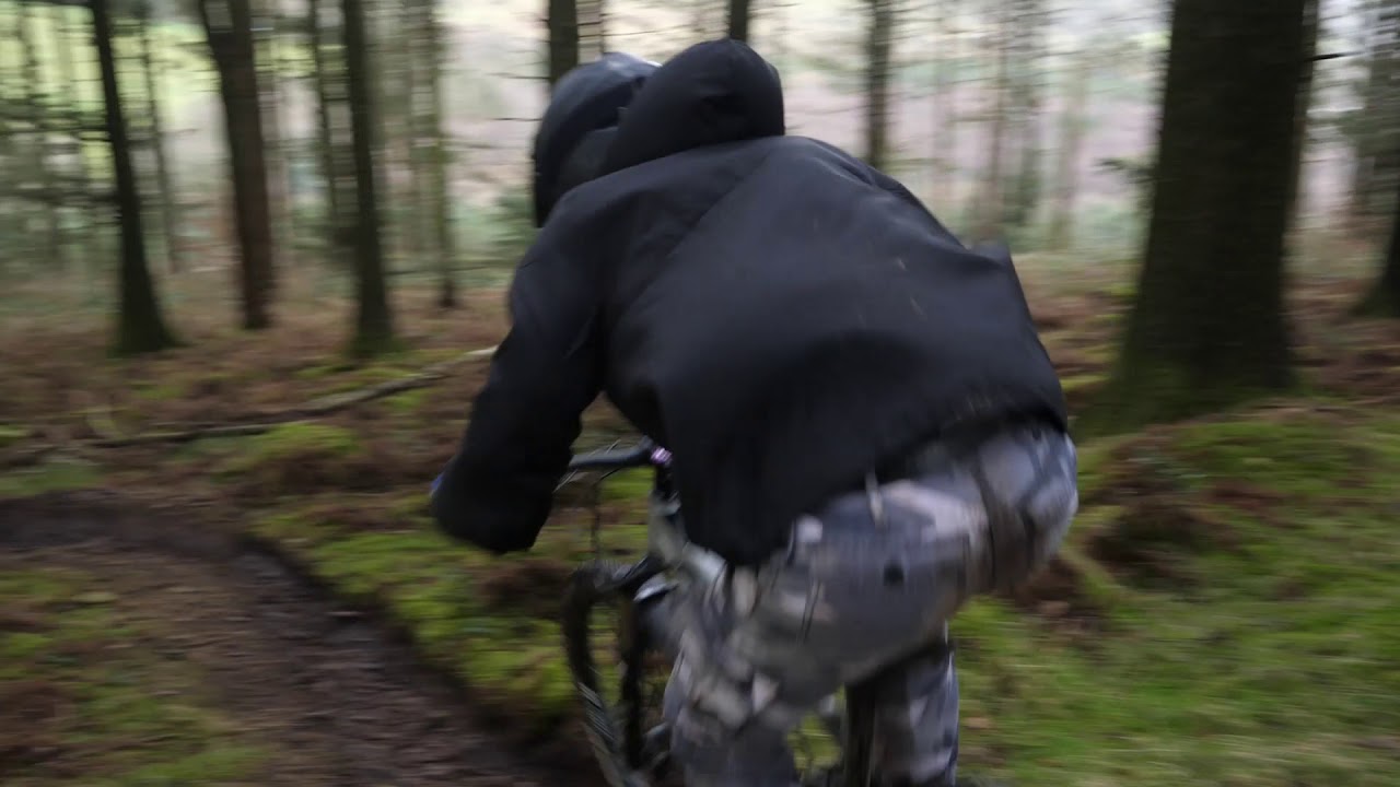 Rowberrow warren - YouTube