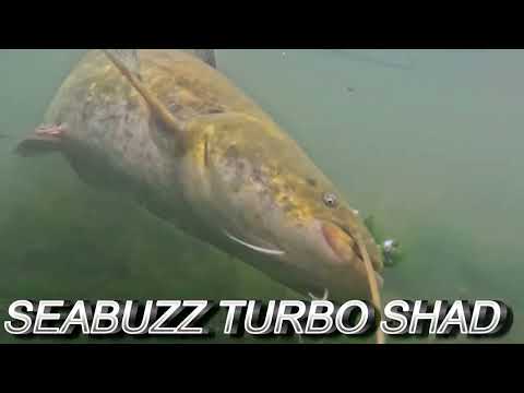 Силикон SeaBuzz Turbo Shad