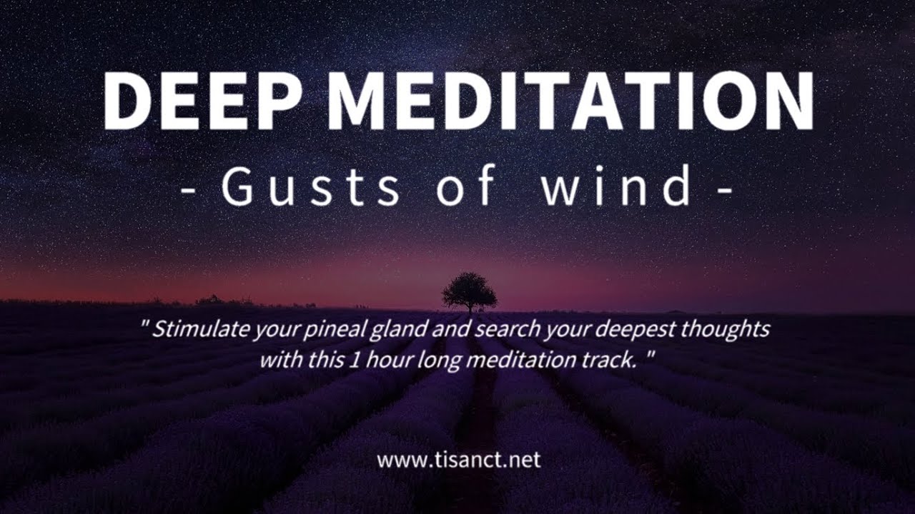 Deep Meditation: Gusts of Wind 🍃 - YouTube