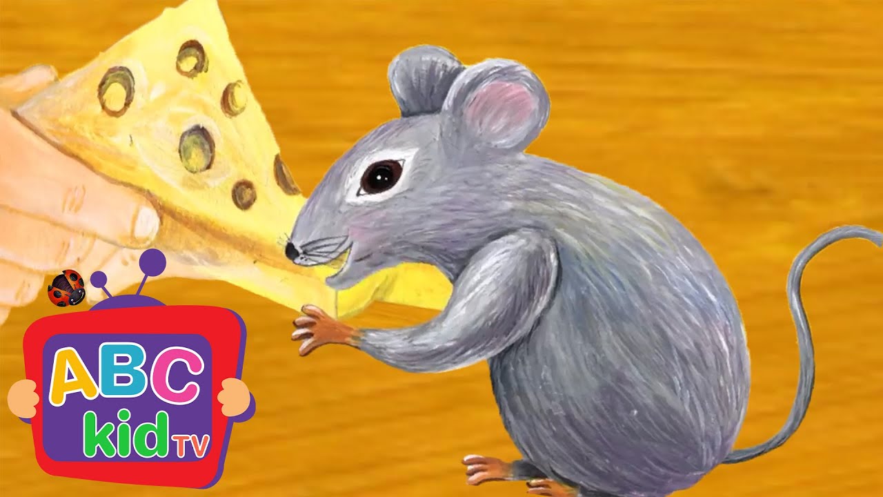 Learn the ABCs in Lower-Case: "m" is for mouse and maze | ABC Kid TV ...