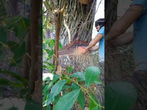 Biz bu işi geçen pazartesi başlamadık kardeeş