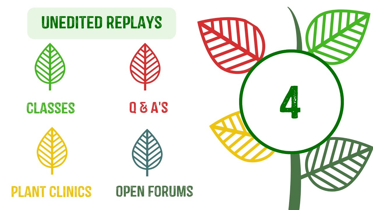 Houseplant Class #4: Open Forum July 18, 2022 - Unedited - YouTube