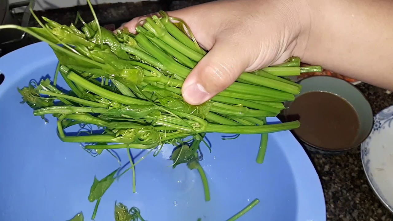 Ginisang talbos ng Sayote na may hipon. (Stir-fried Sayote Leaves with ...