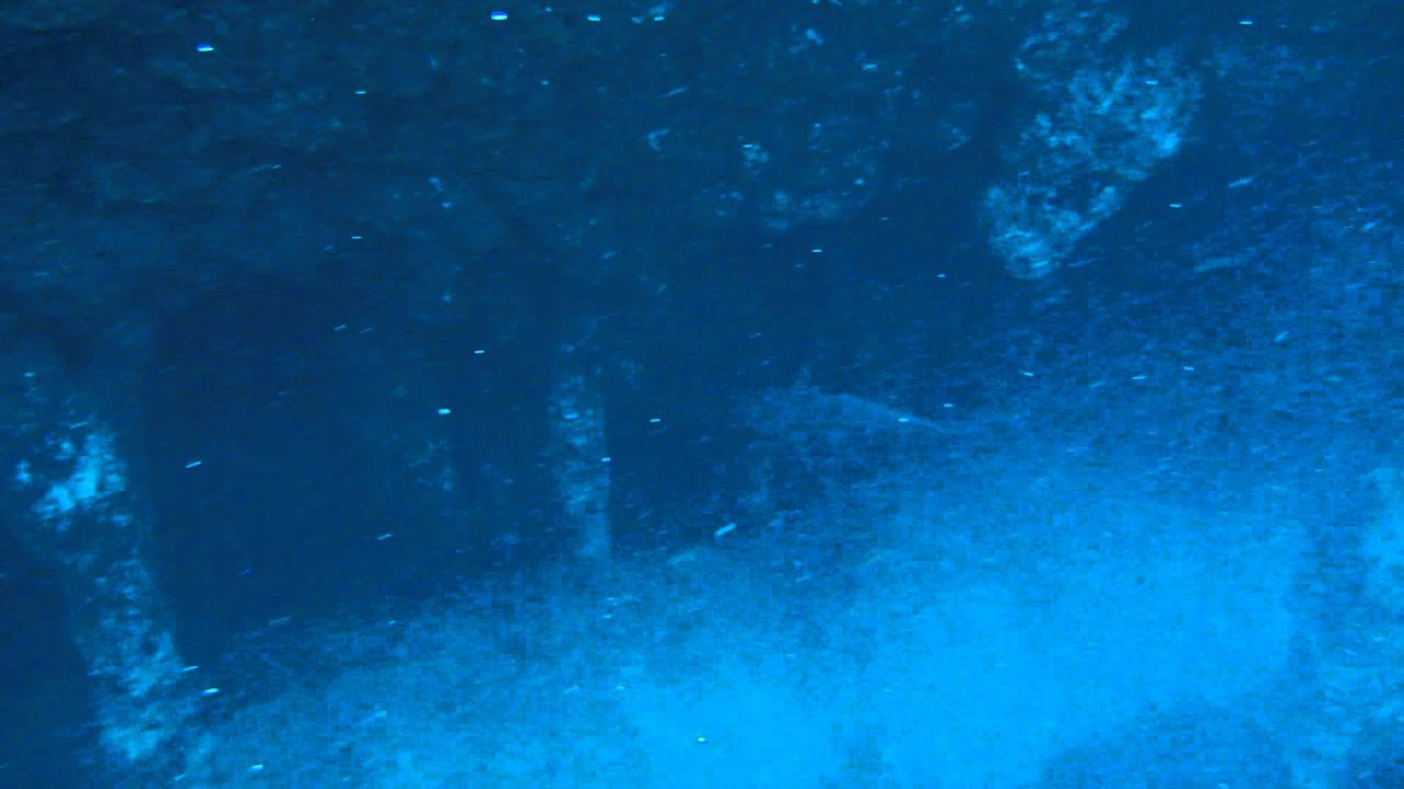 Diving with reef sharks in the Blue Hole Belize - YouTube