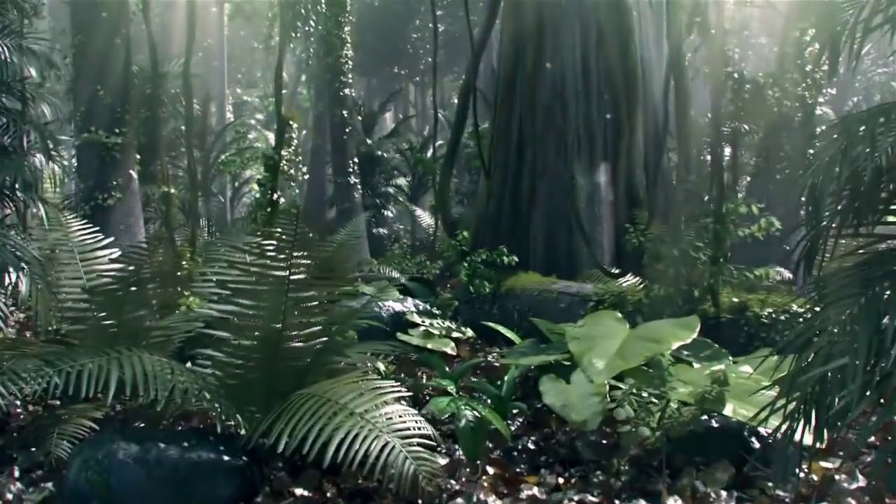Best natural scenes 2 - YouTube