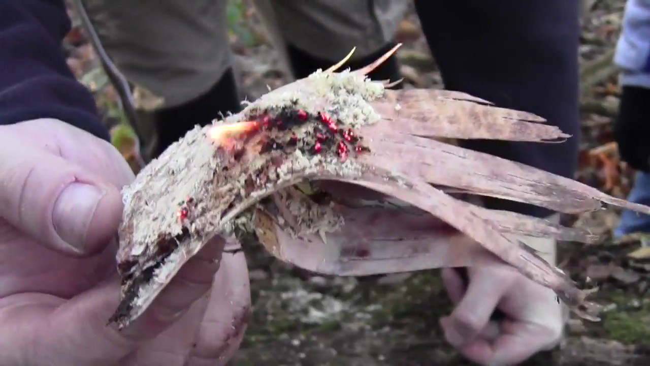 Wild Camping Advice, Bushcraft Basics, fire lighting with the kids ...