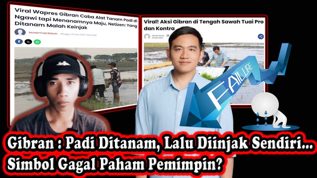Gibran : Padi Ditanam, Lalu Diinjak Sendiri… Simbol Gagal Paham ...