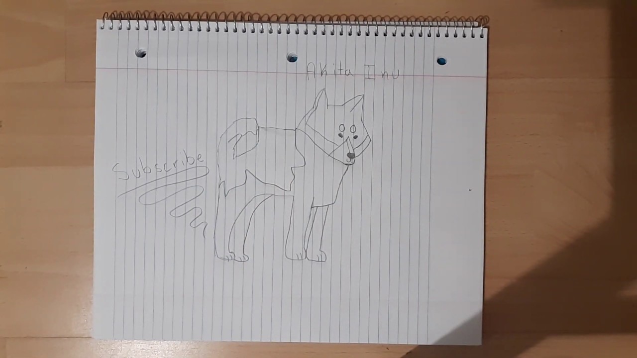 How To Draw An Akita Inu - YouTube