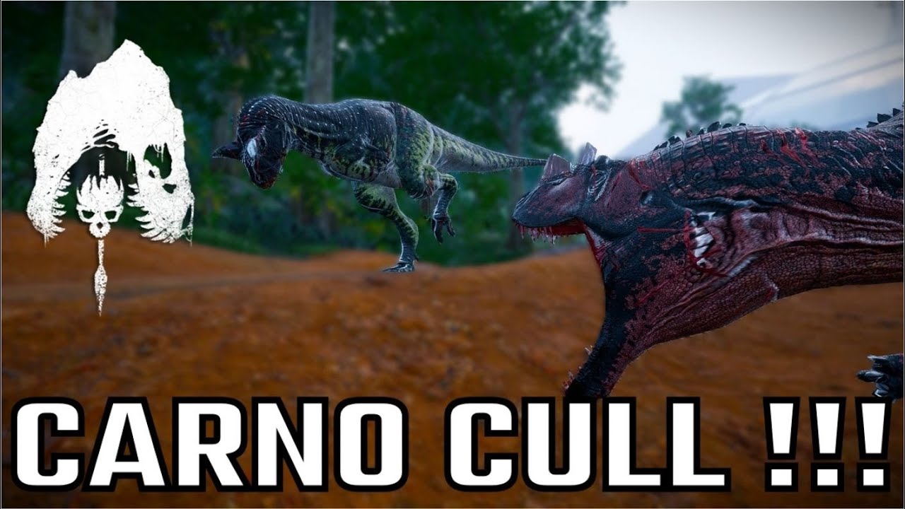 Persistent Hunters !!!! The Isle Evrima Ceratosaurus Gameplay - YouTube