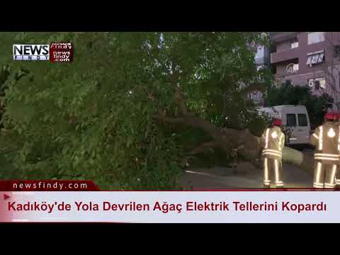 Kadıköy'de Devrilen Ağaç Elektrik Tellerini Kopardı
