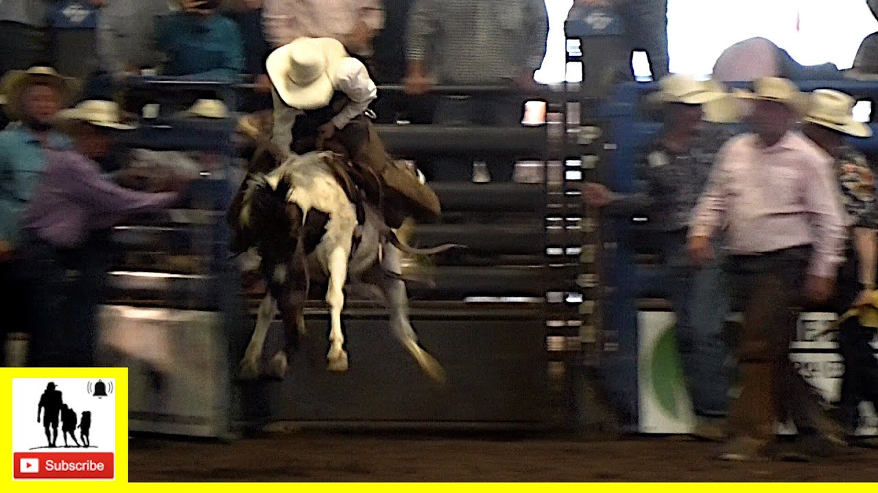 Miniature Bronc Riding - 2022 Ben Johnson Days Ranch Rodeo | Saturday ...